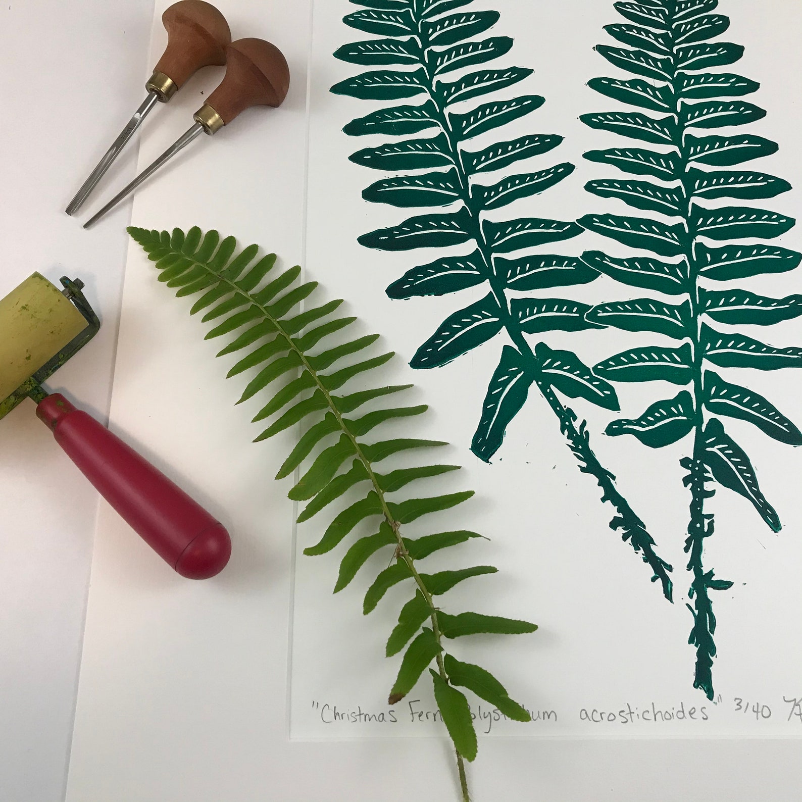 Christmas Fern original block print Limited Edition 16 x 20 | Etsy