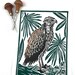 Red Shouldered Hawk Juvenile Full Color Block Print Limited - Etsy