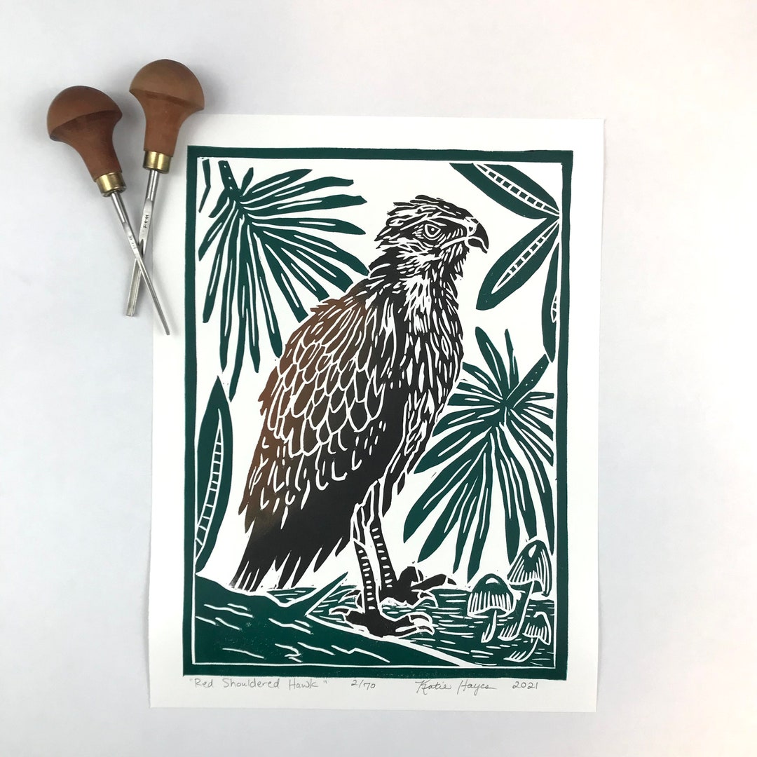 Red Shouldered Hawk Juvenile Full Color Block Print Limited - Etsy