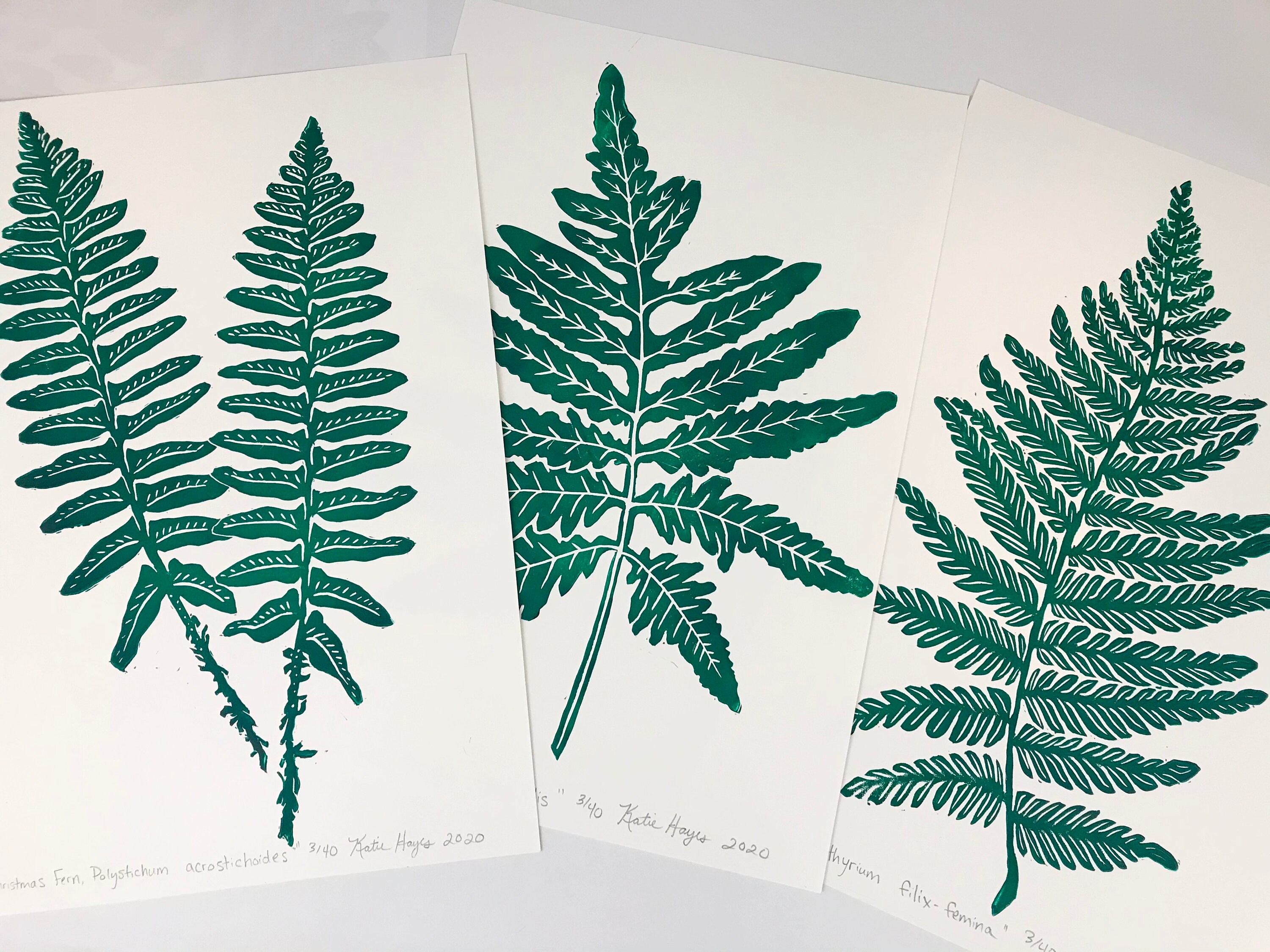 Sensitive Fern Original Block Print Limited Edition With - Etsy UK