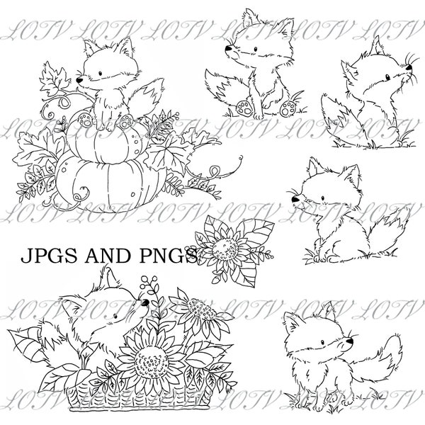Pumpkin Stamp - Etsy