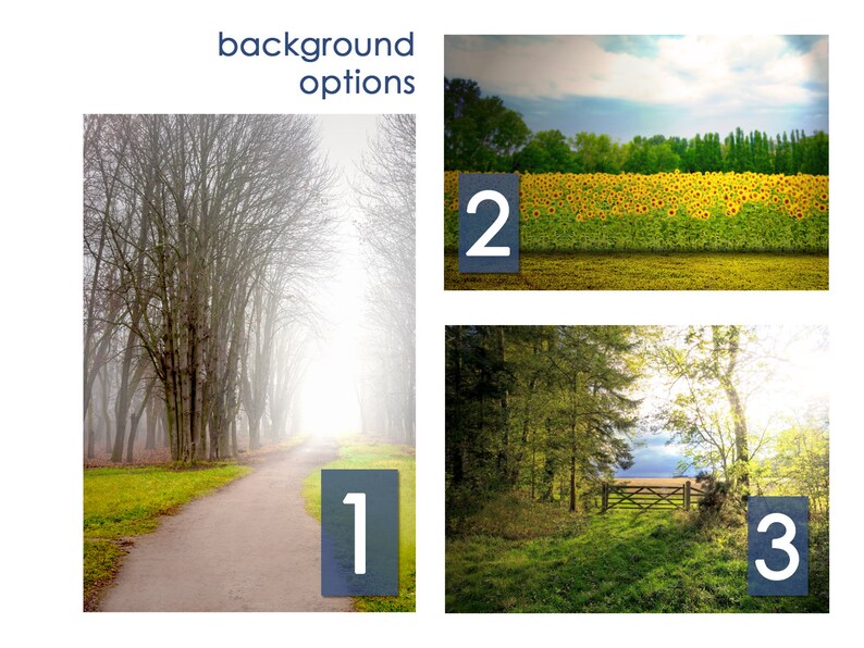 Add Photo Group to Background, Photoshop People on Background, Add ...