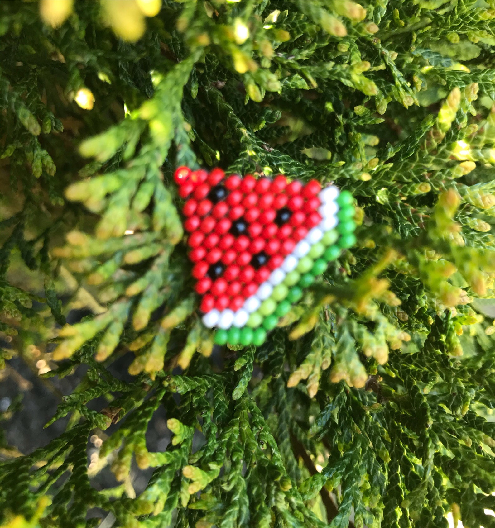 Watermelon Pendant/necklace Charm/bracelet Charm/pin - Etsy