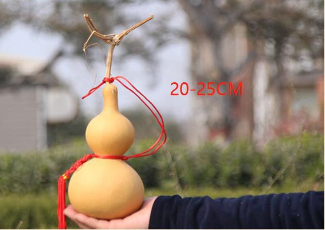 Double Bulbous Medium Bottle Gourds | Etsy