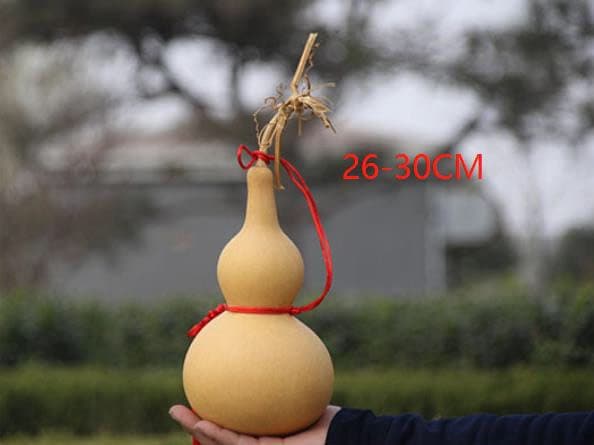 Double Bulbous Medium Bottle Gourds | Etsy