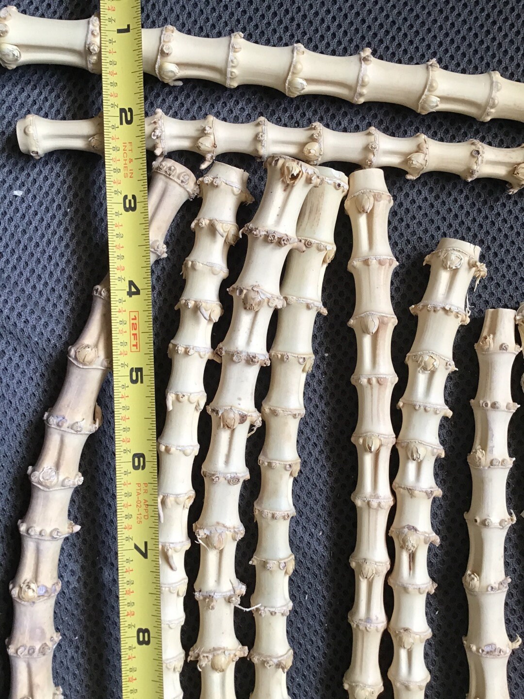 Selected Premium Mixed Bamboo Roots for Pipemaker Wholesale - Etsy