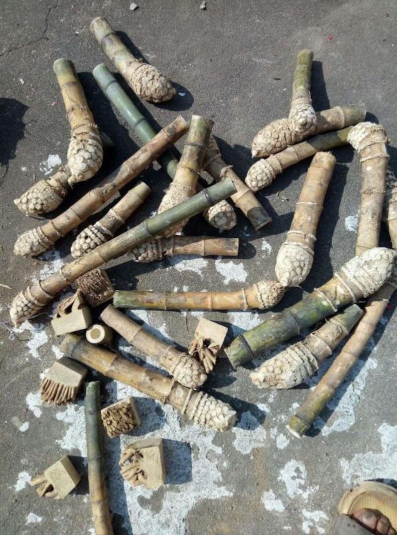 Varied Dia Raw Bamboo Root Ball Ends for Making Pipe or | Etsy