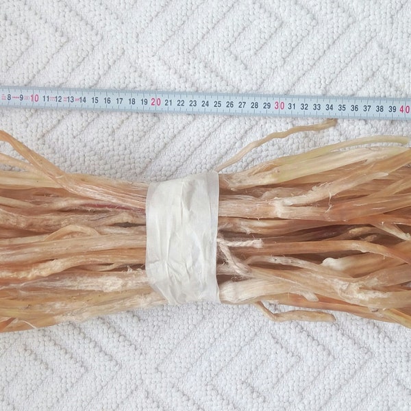 Water Buffalo Sinew - Etsy