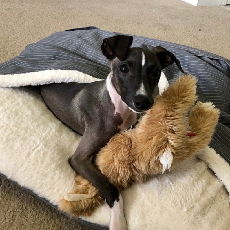 Dog Bed Cave Dog Bed Dog Bed Cover Snuggle Bed. Whippets. - Etsy Australia