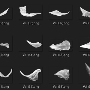 80 Wedding Veil Overlays, Wedding Dress Overlays, Flying Fabric Overlay ...