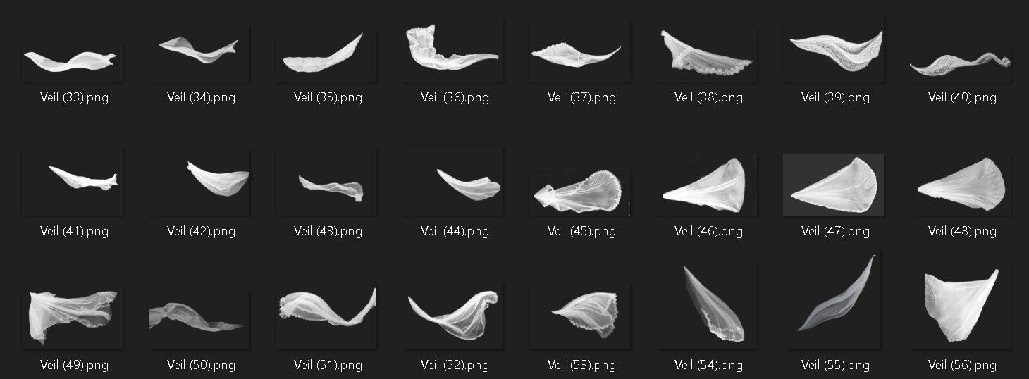 80 Wedding Veil Overlays Wedding Dress Overlays Flying - Etsy