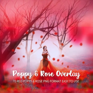 Red Rose Overlays，photoshop Summer Overlays，red Digital Backdrop ...