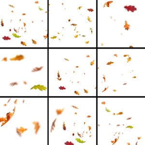 90 Autumn Leaves Overlay: Falling Maple Leaves, Fall Leaves, Autumn ...
