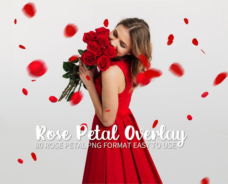 Rose Petals Overlayswedding Overlaysfalling Rose Petals PNG - Etsy