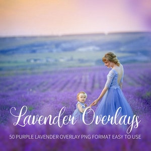 Lavender Overlaysphotoshop Summer Overlayspurple Digital - Etsy