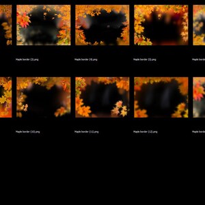 90 Autumn Leaves Overlay: Falling Maple Leaves, Fall Leaves, Autumn ...