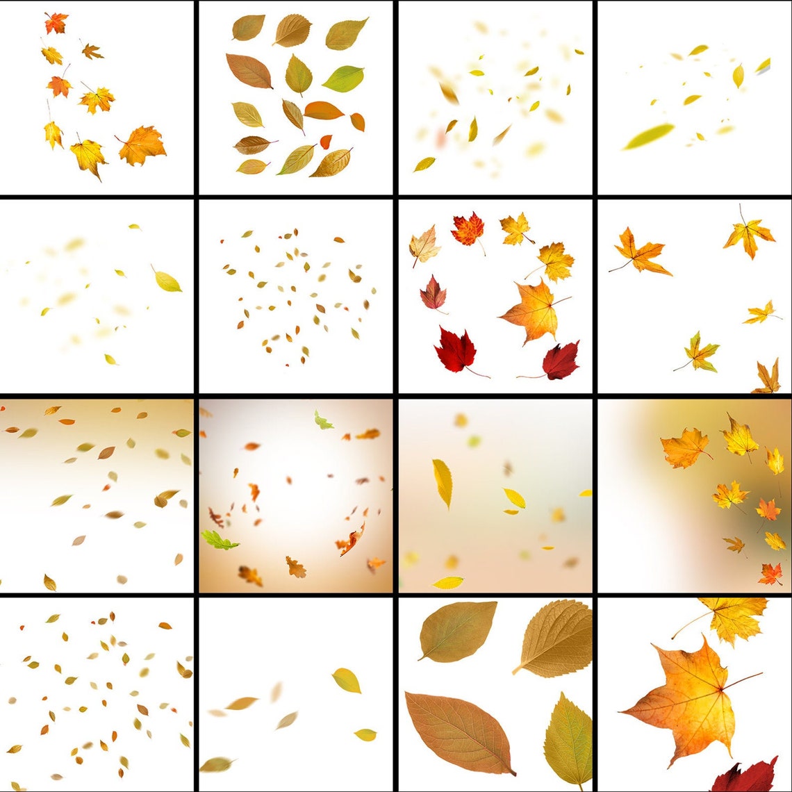 90 Autumn Leaves Overlay: Falling Maple Leaves, Fall Leaves, Autumn ...