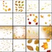 90 Autumn Leaves Overlay: Falling Maple Leaves, Fall Leaves, Autumn ...