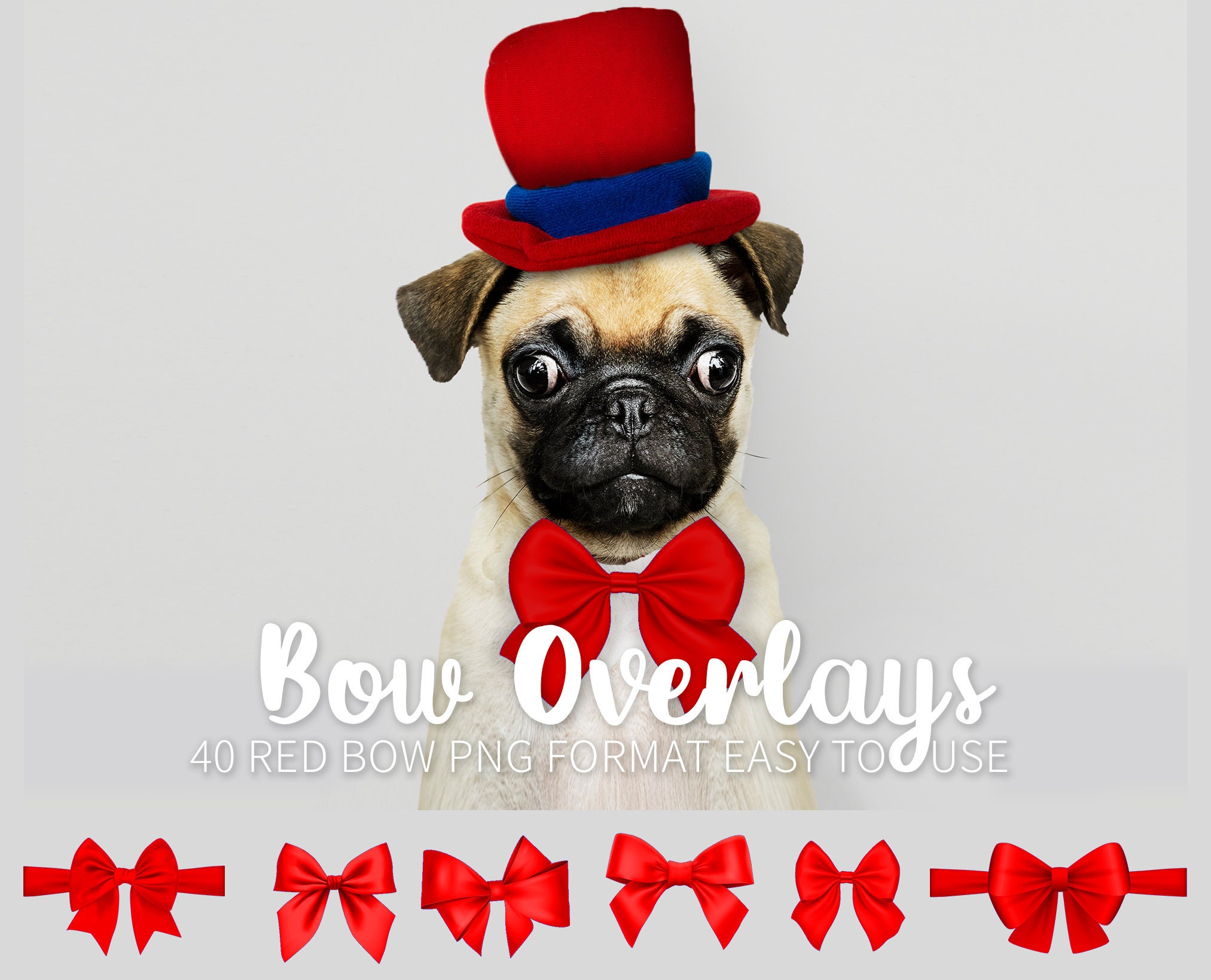 40 Bow Overlay and ribbons Overlays a gift box design Poster | Etsy