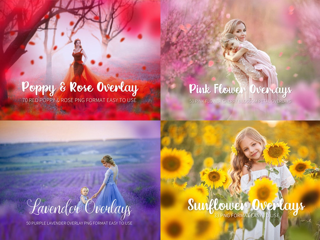 280 Fourcolor Overlaysphotoshop Summer Overlaysred Purple - Etsy