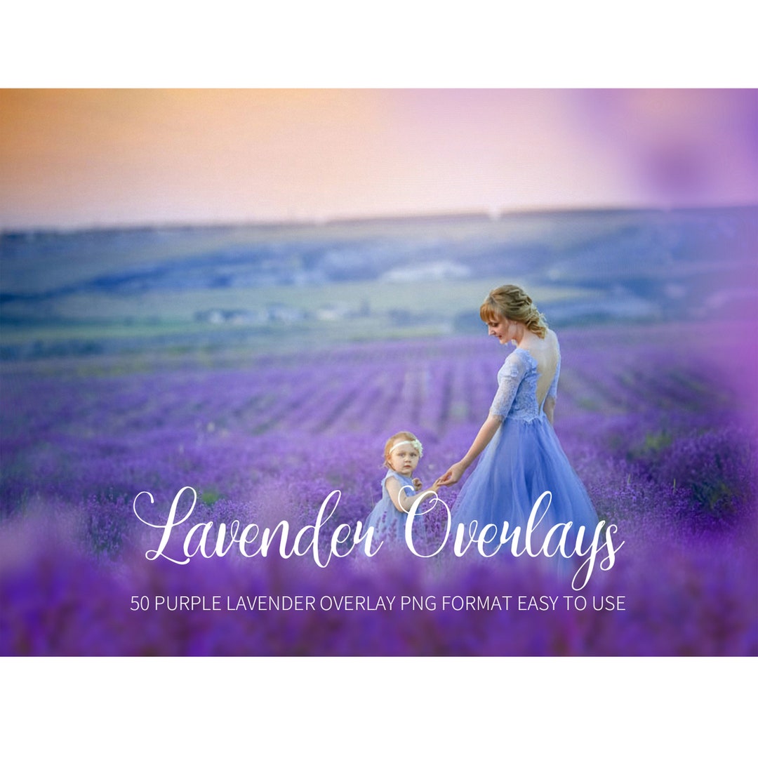 Lavender Overlays，photoshop Summer Overlays，purple Digital Backdrop ...