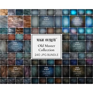 240 Old Master Digital Background, Portrait Backdrop, Digital ...