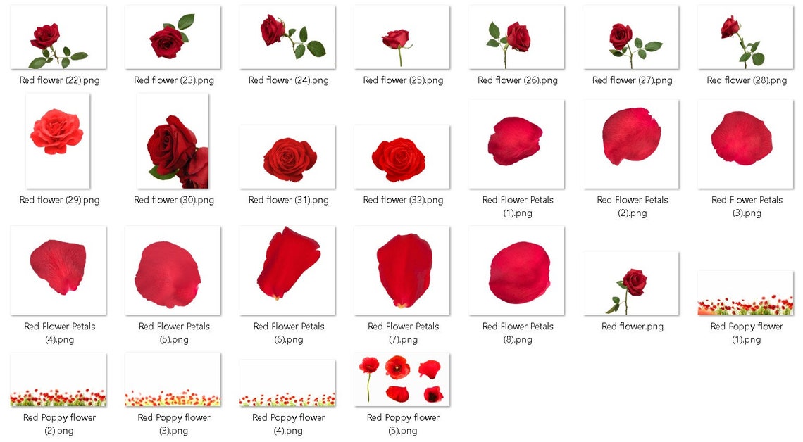 Red Rose Overlaysphotoshop Summer Overlaysred Digital - Etsy