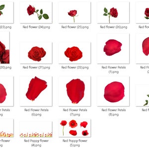 Red Rose Overlays，photoshop Summer Overlays，red Digital Backdrop ...