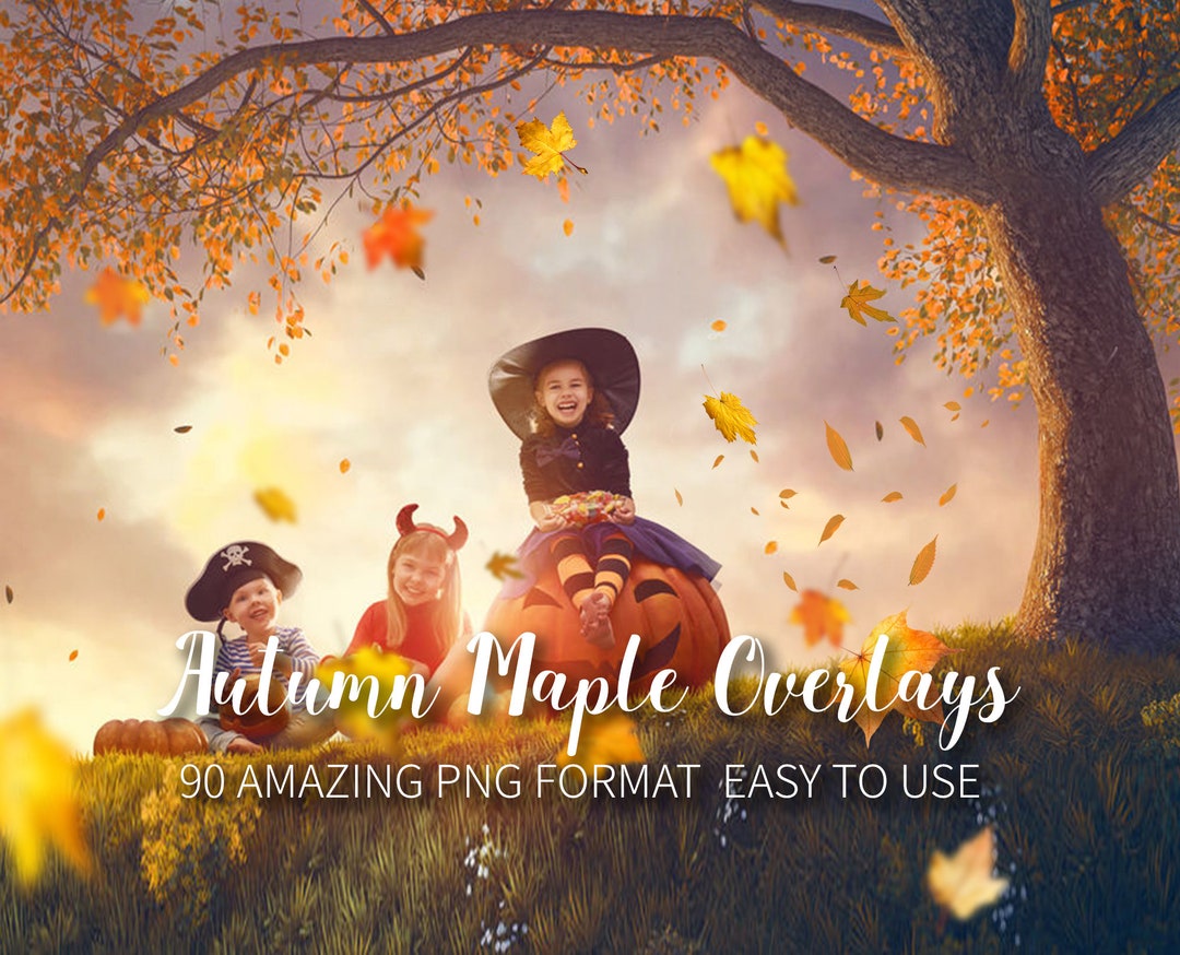 90 Autumn Leaves Overlay: Falling Maple Leaves Fall Leaves - Etsy