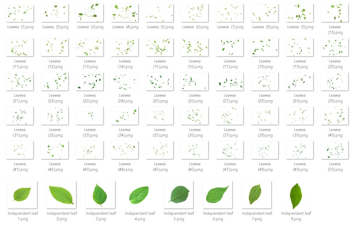 100 Tree and Leaves Photoshop Overlays:wedding Photoshop Overlay，summer ...