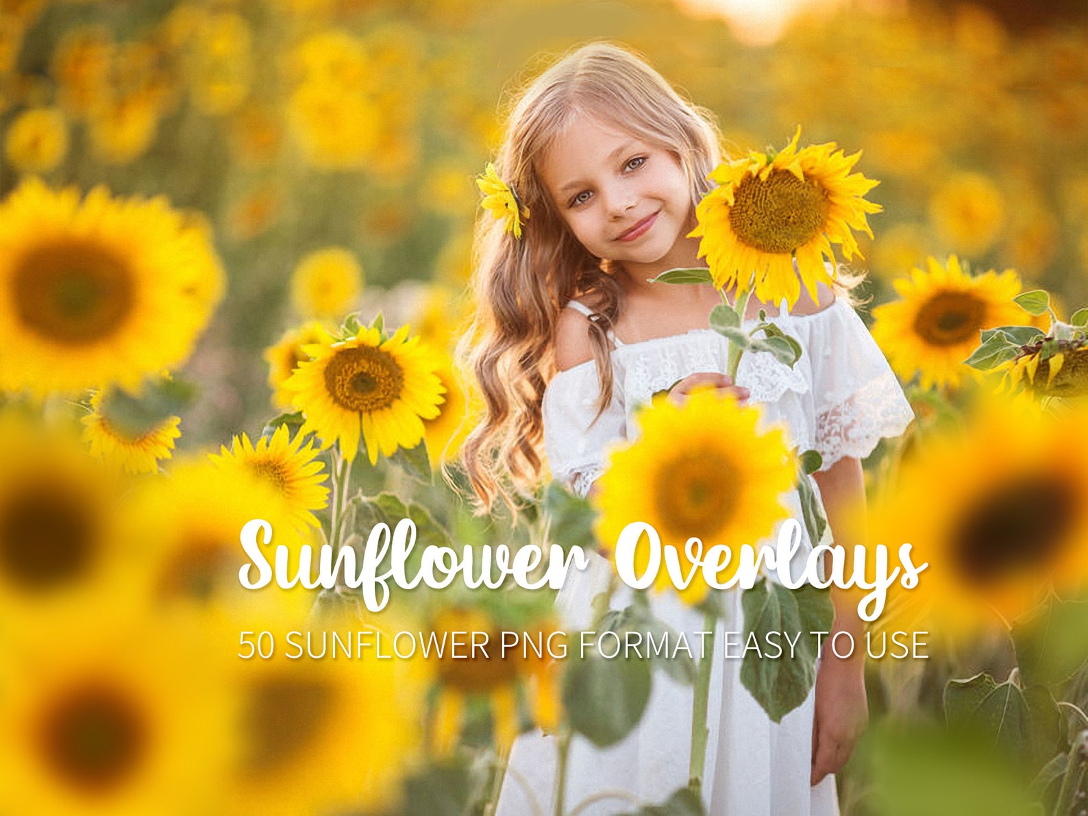 33 Sunflower Overlaysphotoshop Summer Overlaysorange Digital - Etsy Canada