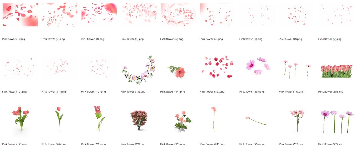 51 Pink Flower Overlaysphotoshop Summer Overlaysdigital - Etsy