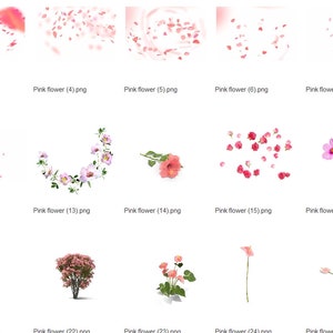 51 Pink Flower Overlays，photoshop Summer Overlays，digital Backdrop ...