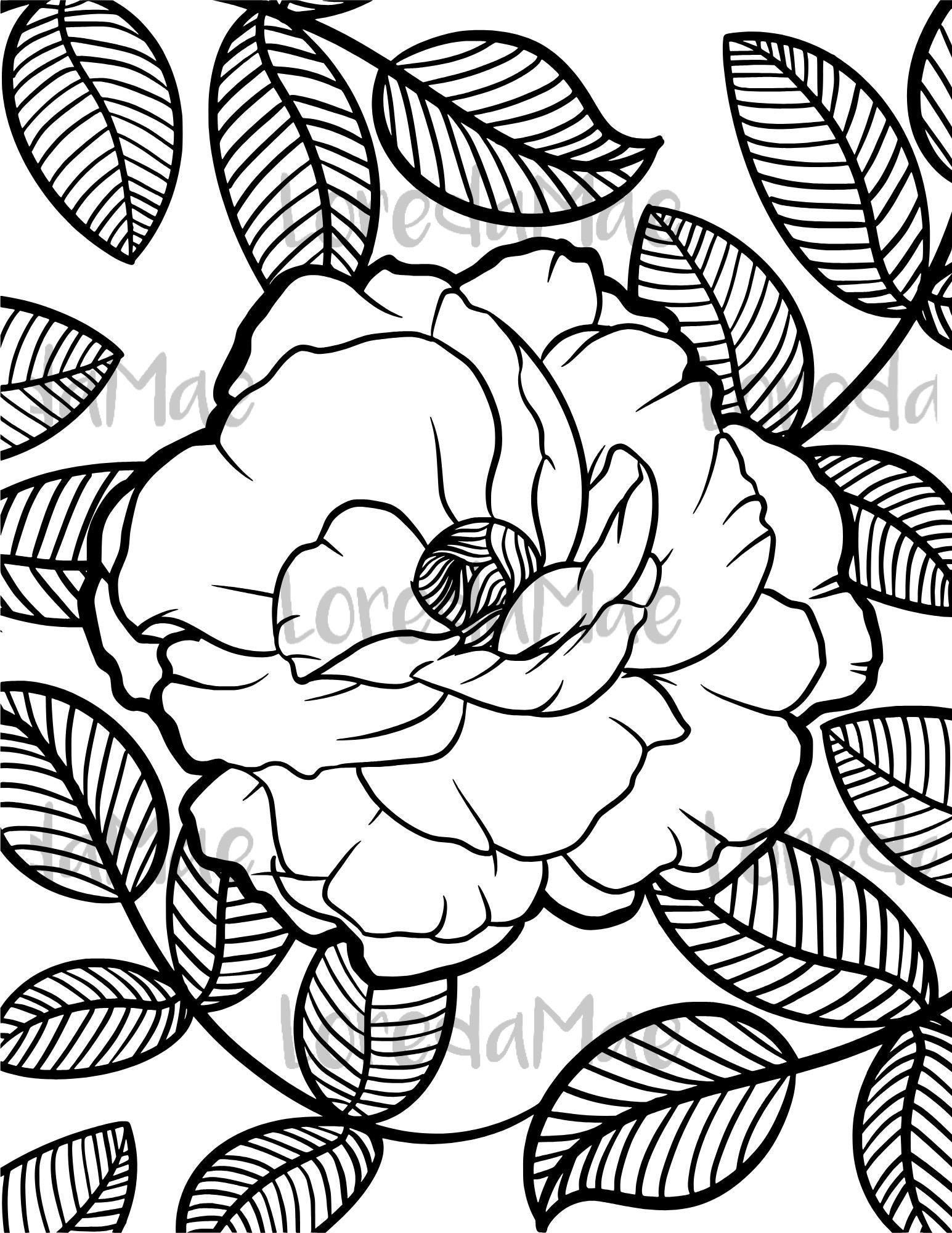 Floral Coloring Page Printable Flower Design Digital Download - Etsy