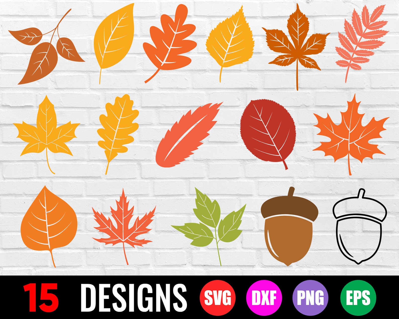 Autumn Laves SVG Bundle Fall Leaves SVG Fall SVG Autumn - Etsy