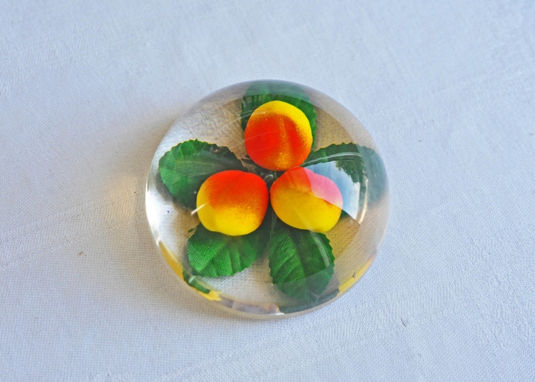 Old Lucite Paperweight. Buds or Fruits and Leaves in Clear Lucite ...