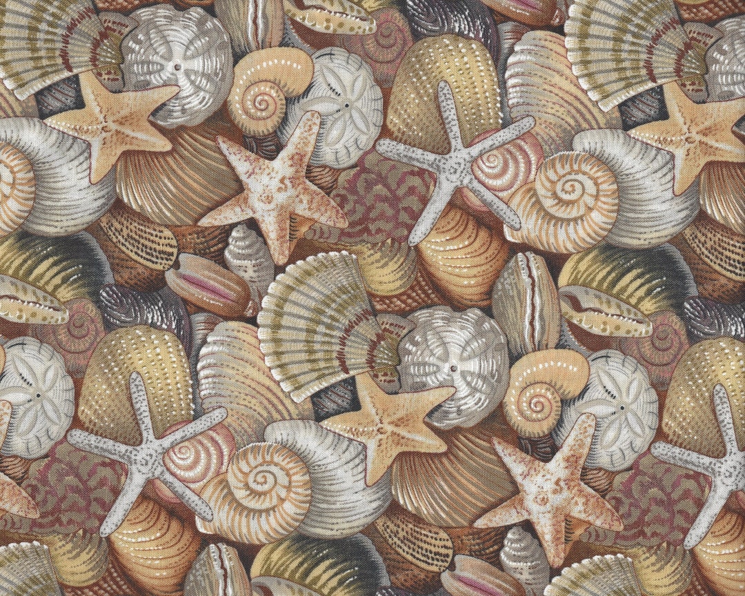 Seashells Cotton Quilt Fabric by the Yard - Blank Quilting BTR-6734 - Etsy
