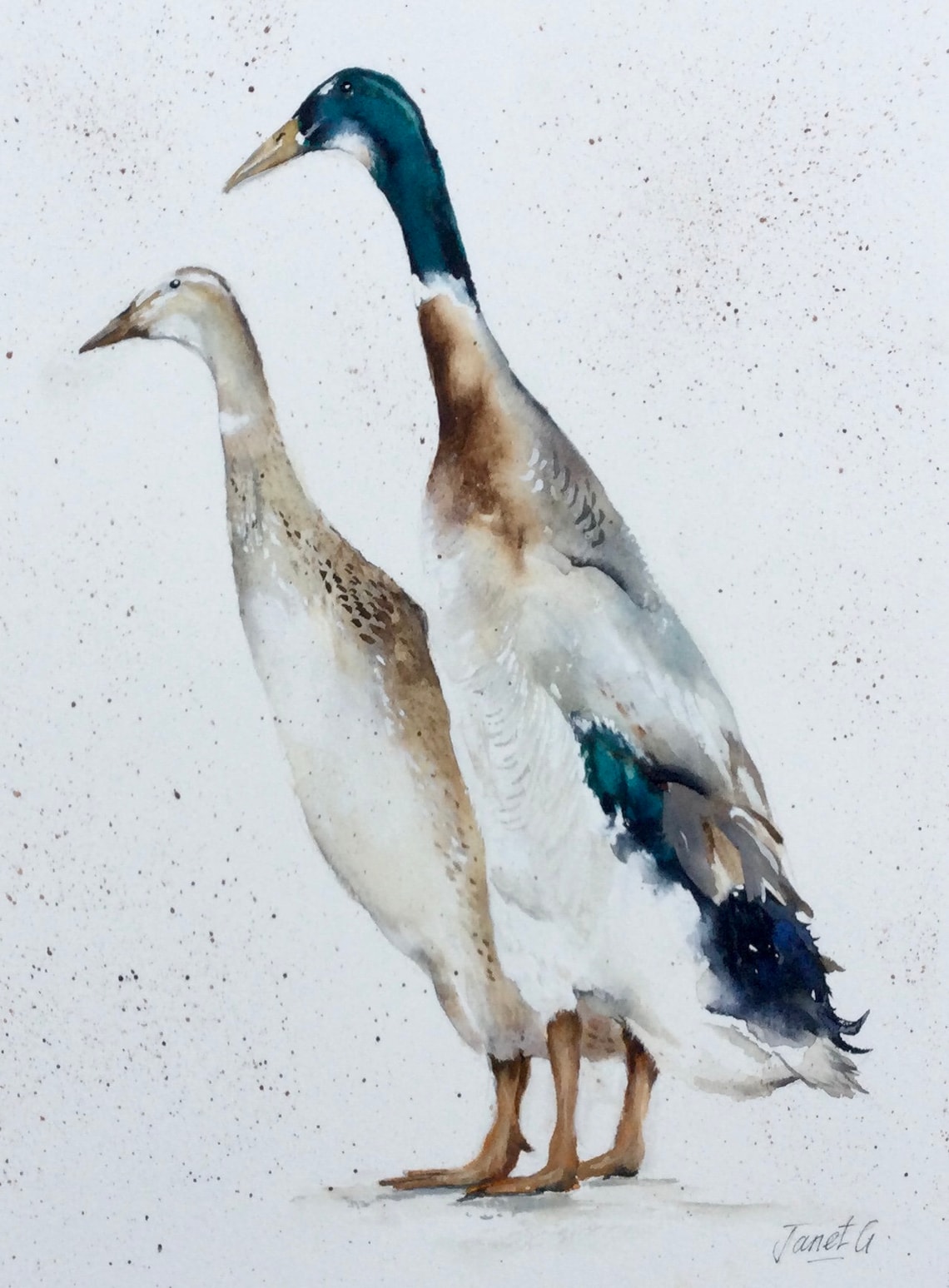 Indian Runner Ducks Original Watercolour Painting Framed | Etsy