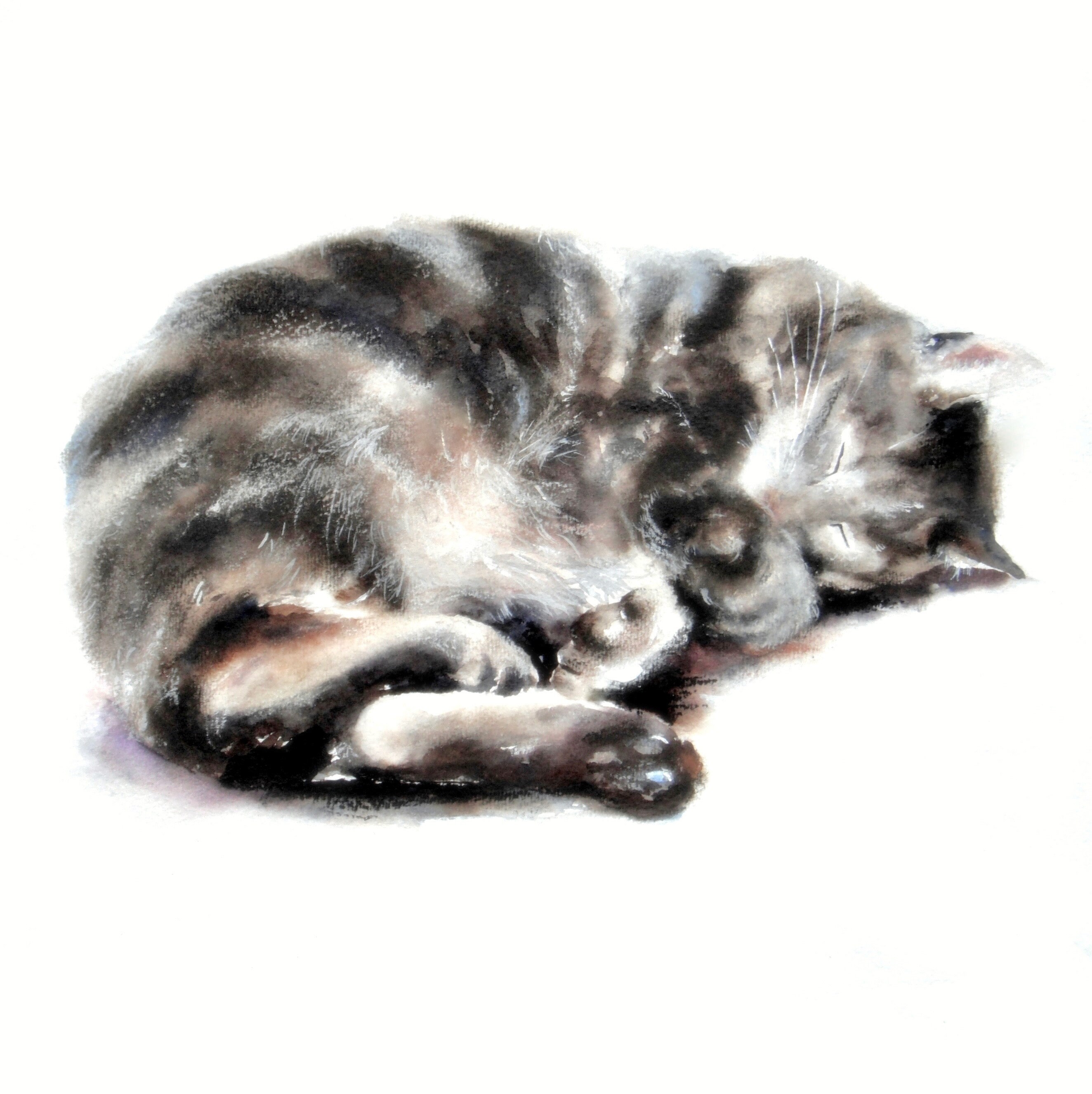Tabby Cat Print Limited Edition Signed Fine Art Giclée - Etsy UK