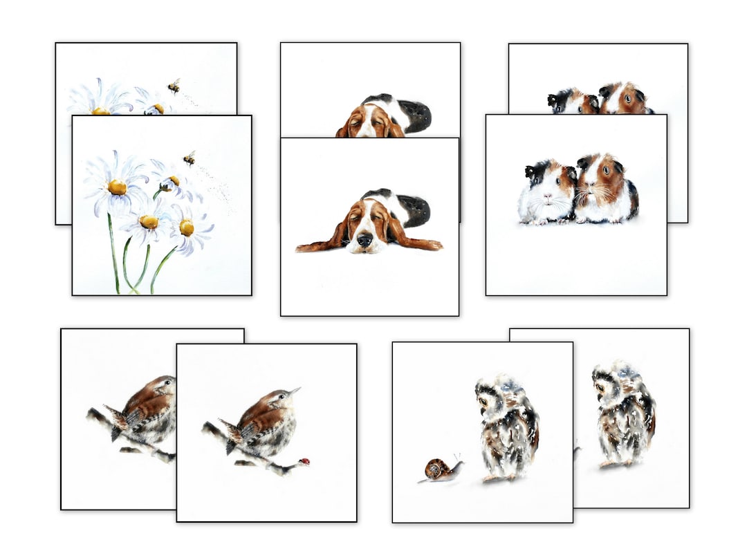 10 Cute Card Pack, Animals, Gift Set, Thank You, Notelets, Multi Pack ...