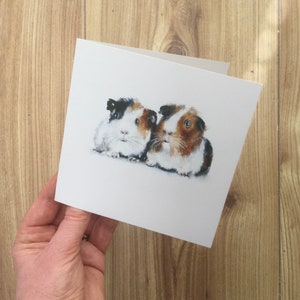 10 Cute Card Pack, Animals, Gift Set, Thank You, Notelets, Multi Pack ...