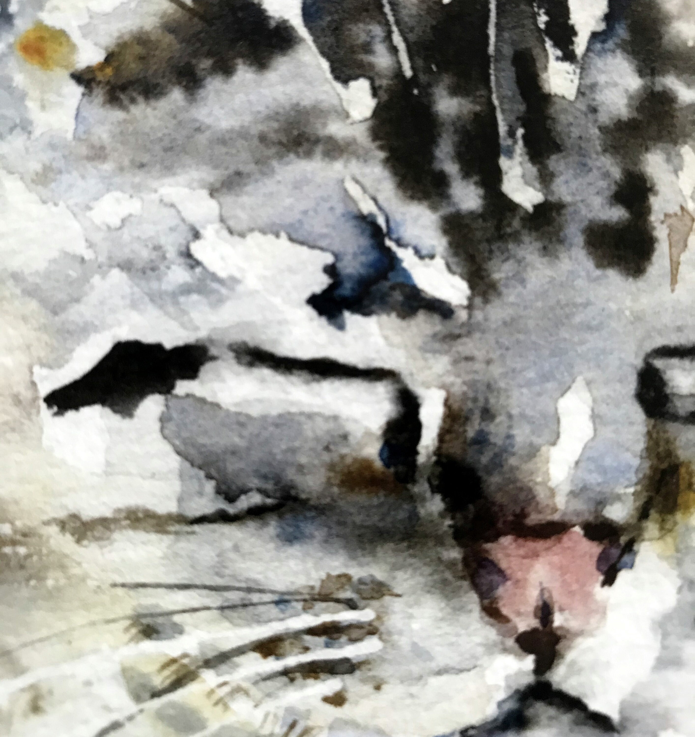 Large Tabby Cat Print Brown Blue Pink for Cat Lovers - Etsy