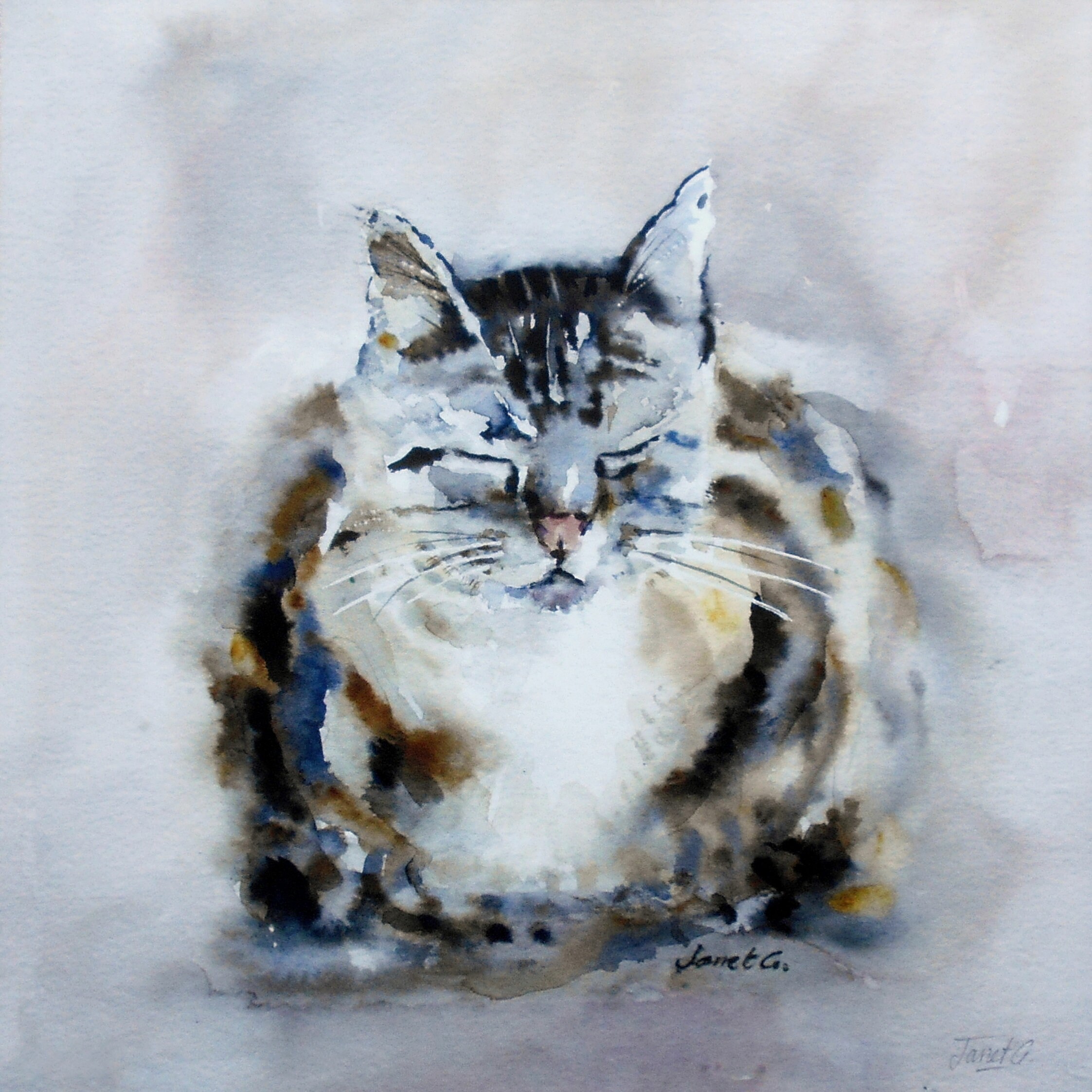 Large Tabby Cat Print Brown Blue Pink for Cat Lovers - Etsy