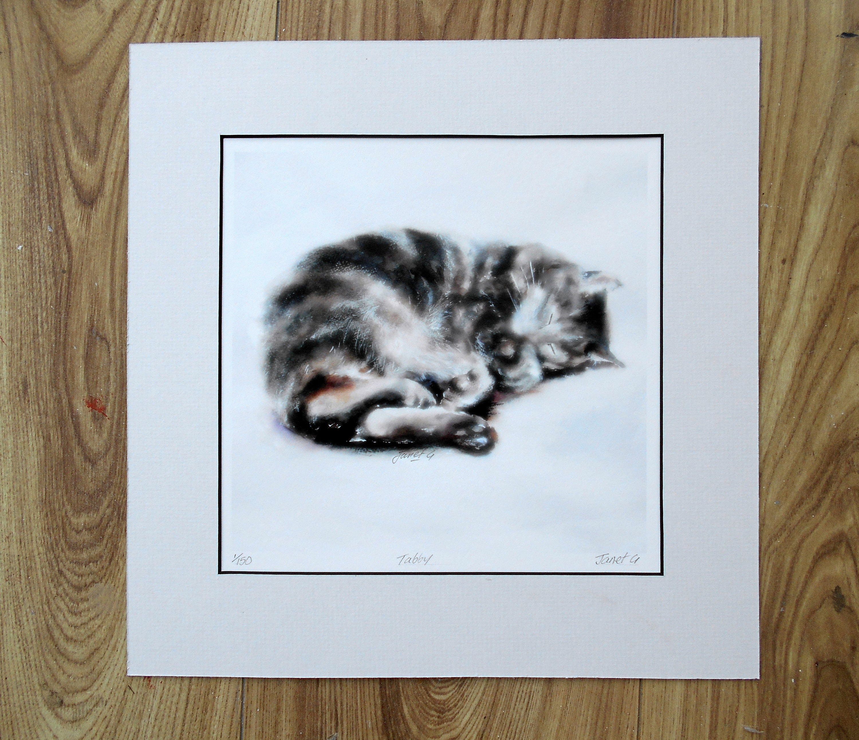Tabby Cat Print Limited Edition Signed Fine Art Giclée - Etsy UK