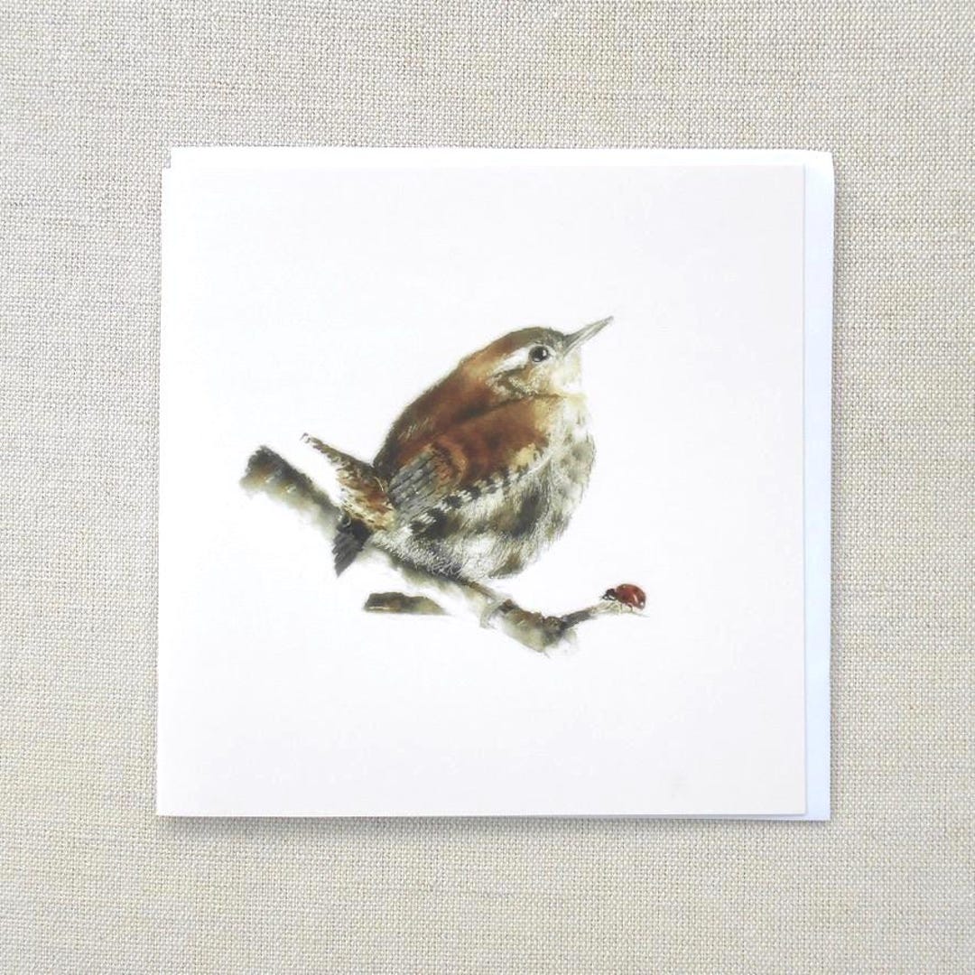 Wren & Ladybird, Fine Art Greeting Card, for Male, Female, Birds, Blank ...
