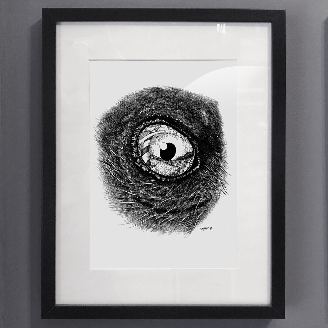 Raven's Eye Illustration, Pen and Ink Drawing, Print Out Copy - Etsy