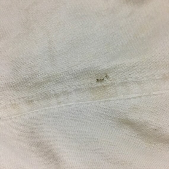 Habitat Vintage 1990s Nature Animals Lion Cats Of The… - Gem