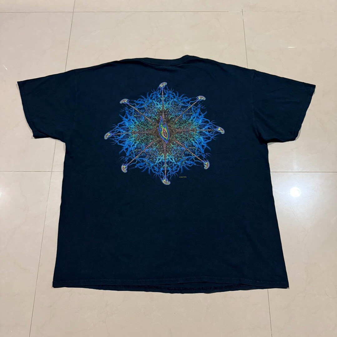 Tool Band Vintage Lateralus Nerve Endings Metal Band Concert Tour Y2K ...
