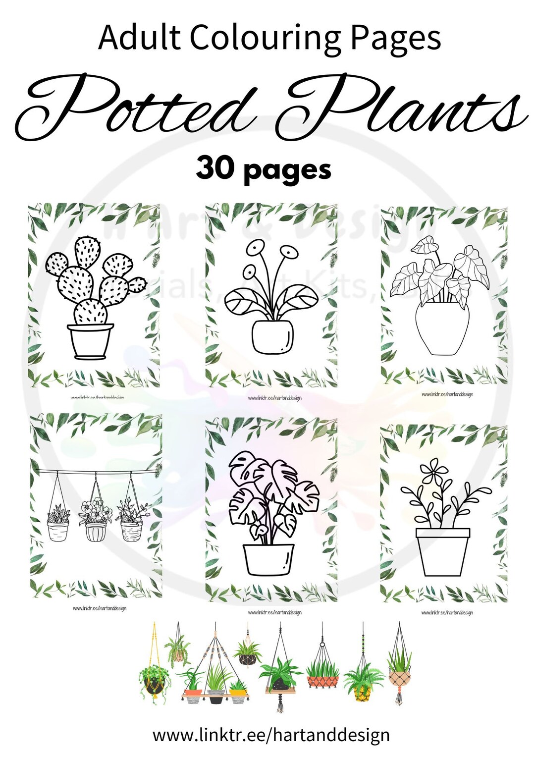 Potted Plants Adult Colouring Page Set 30 Sheets - Etsy
