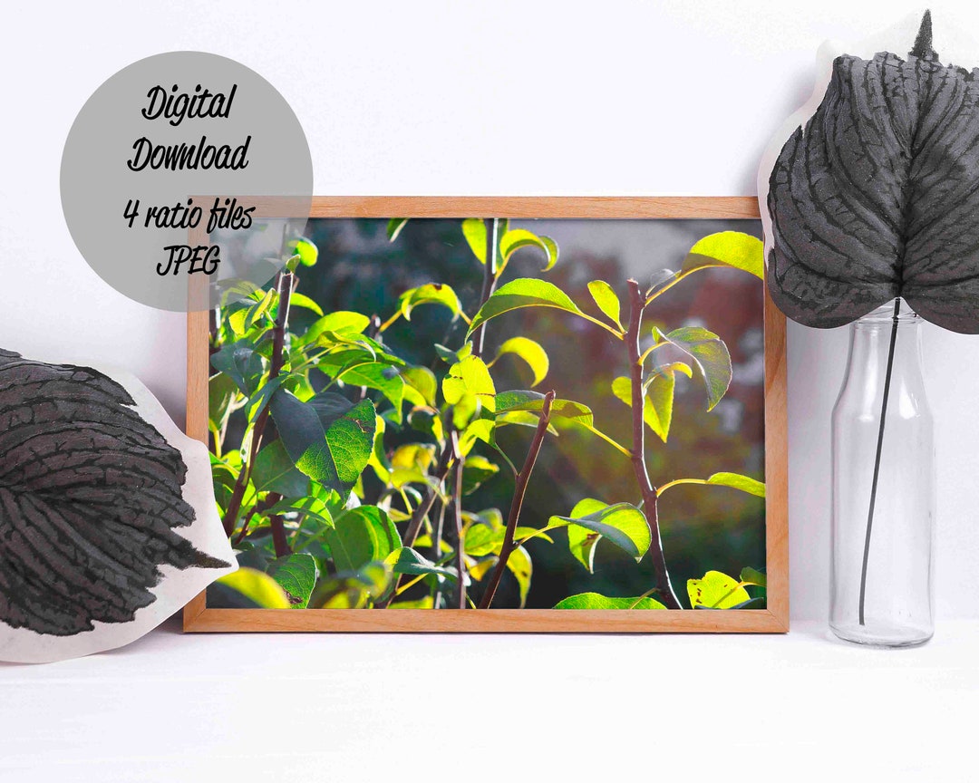 Green Leaves Foliage Art Poster - Etsy